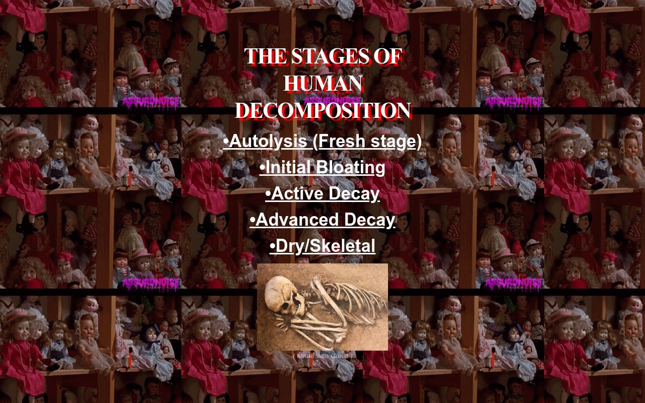 ︎ ︎ ︎ ♋︎ ︎♏︎ ♑︎ ︎♓︎ ︎♑︎ ⧫︎ ︎ ♎︎♓︎♏︎📬︎